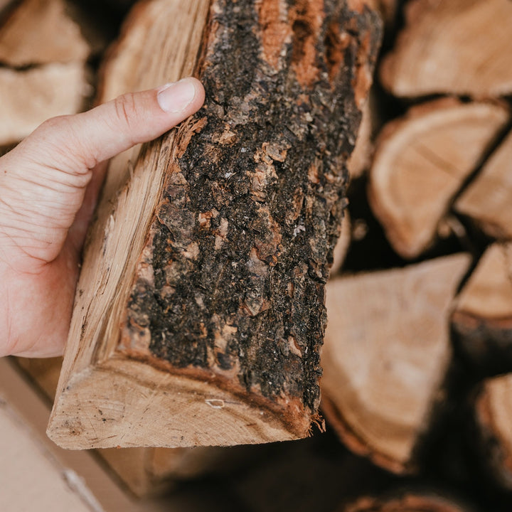 Birch vs Ash vs Oak: Choose the Right Firewood for Your Home ...